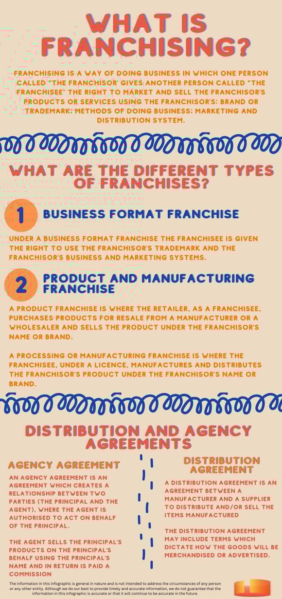 What is Franchising? Ebook